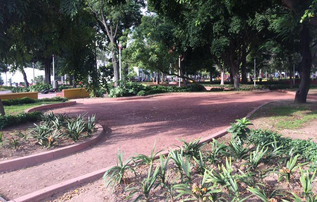 Guadalajara analizará consulta sobre cambio de nombre del Parque ...