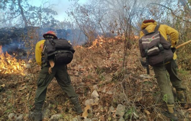 Brigadistas Trabajan Para Sofocar Incendio En Cerro Del Colli Notisistema