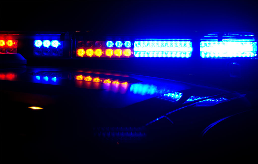 Aseguran armas y cartuchos en autobús procedente de Estados Unidos ...