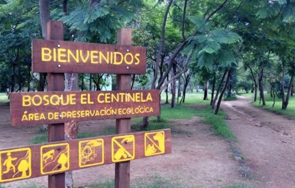 Declaran Área Natural Protegida al Bosque El Centinela y Cañadas de San ...